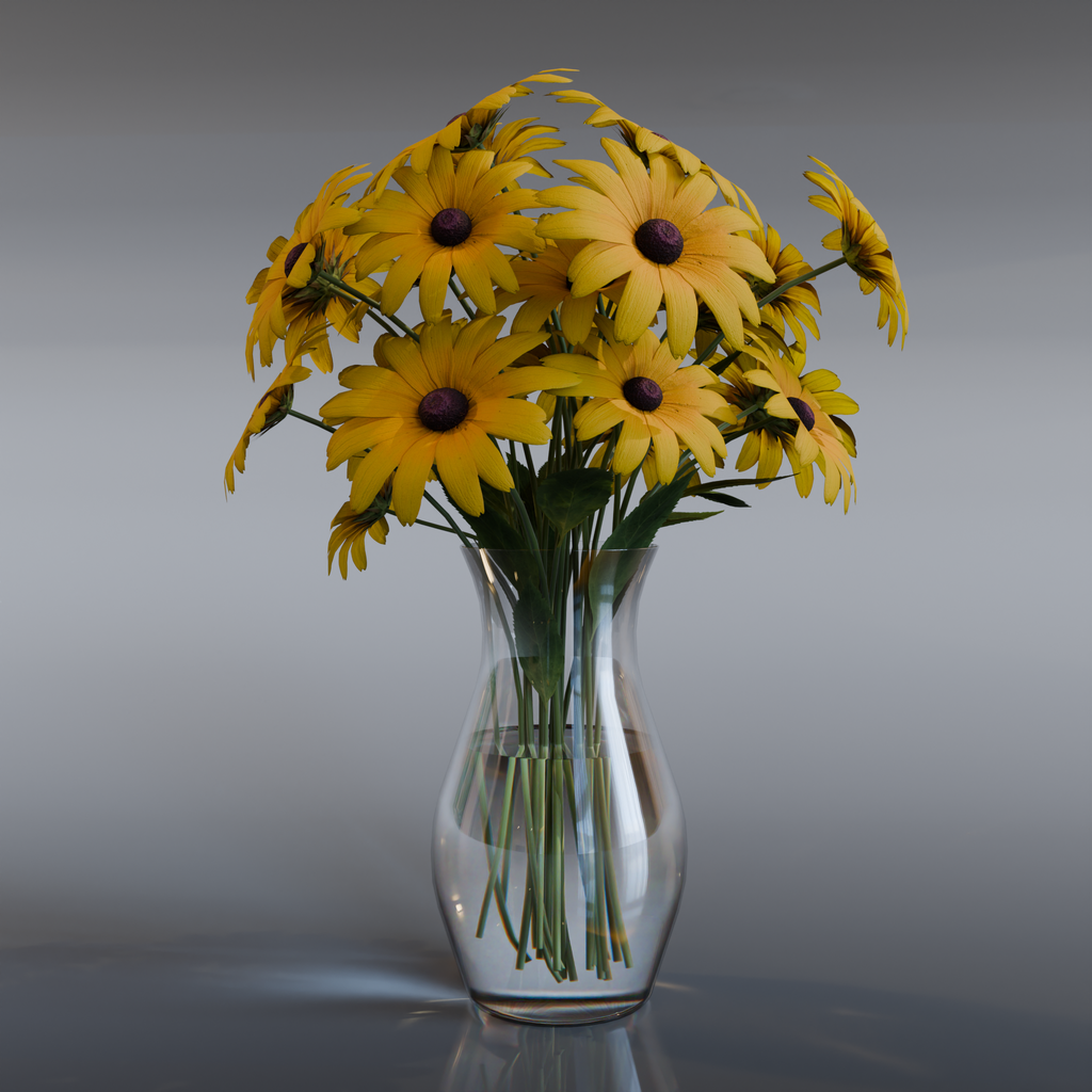 BlenderKit | Download the Black eyed Susan - Rudbeckia hirta model