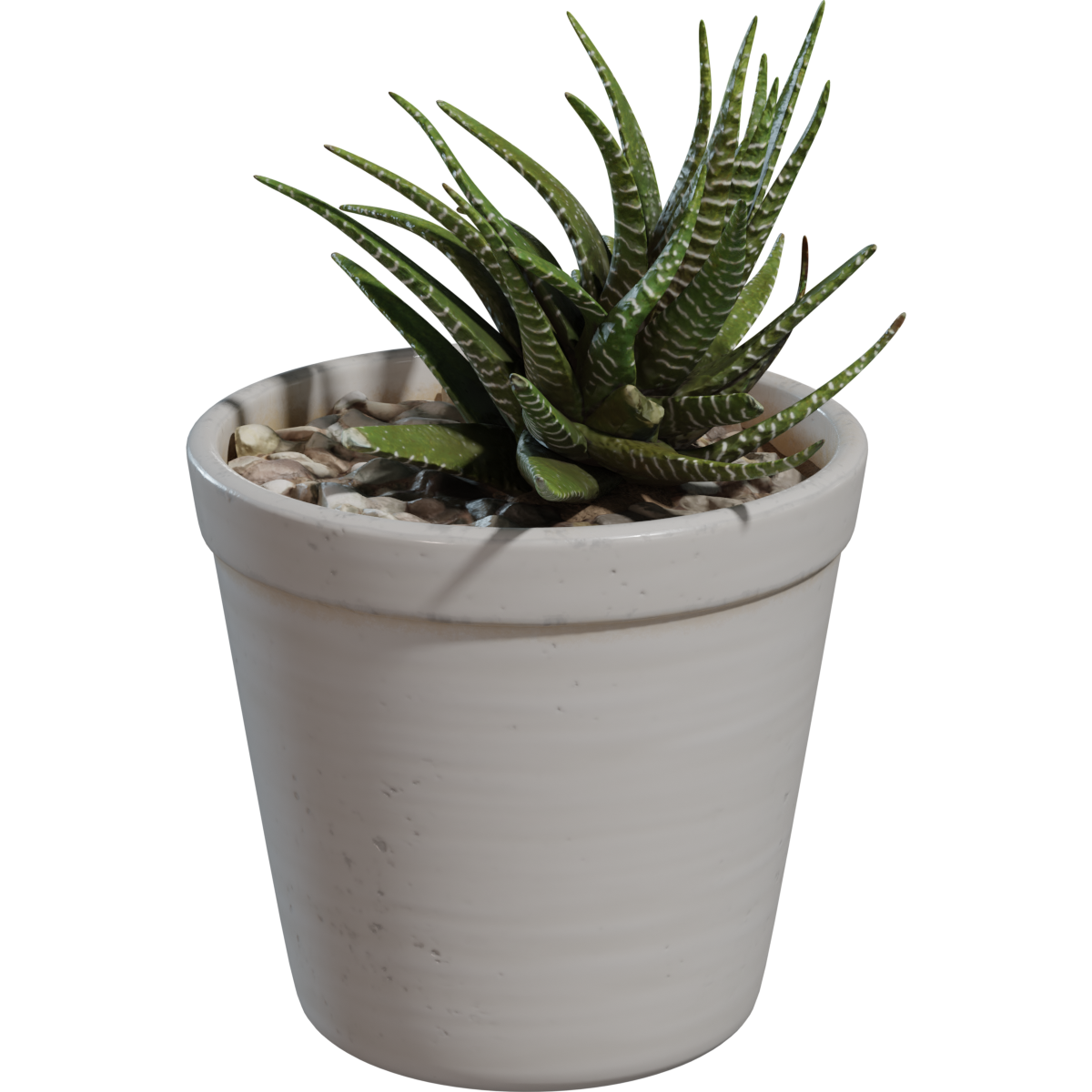 Potted Plant 04 | FREE Indoor Plants models | BlenderKit