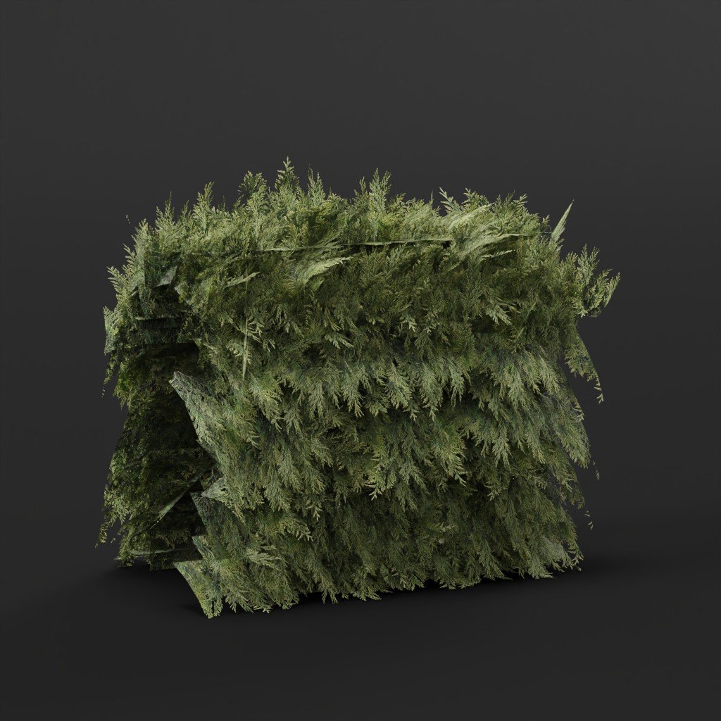Red Cedar Bush Straight 2M | Outdoor Plants models | BlenderKit