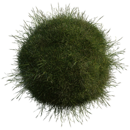 Grass Medium 01 | FREE Grass models | BlenderKit