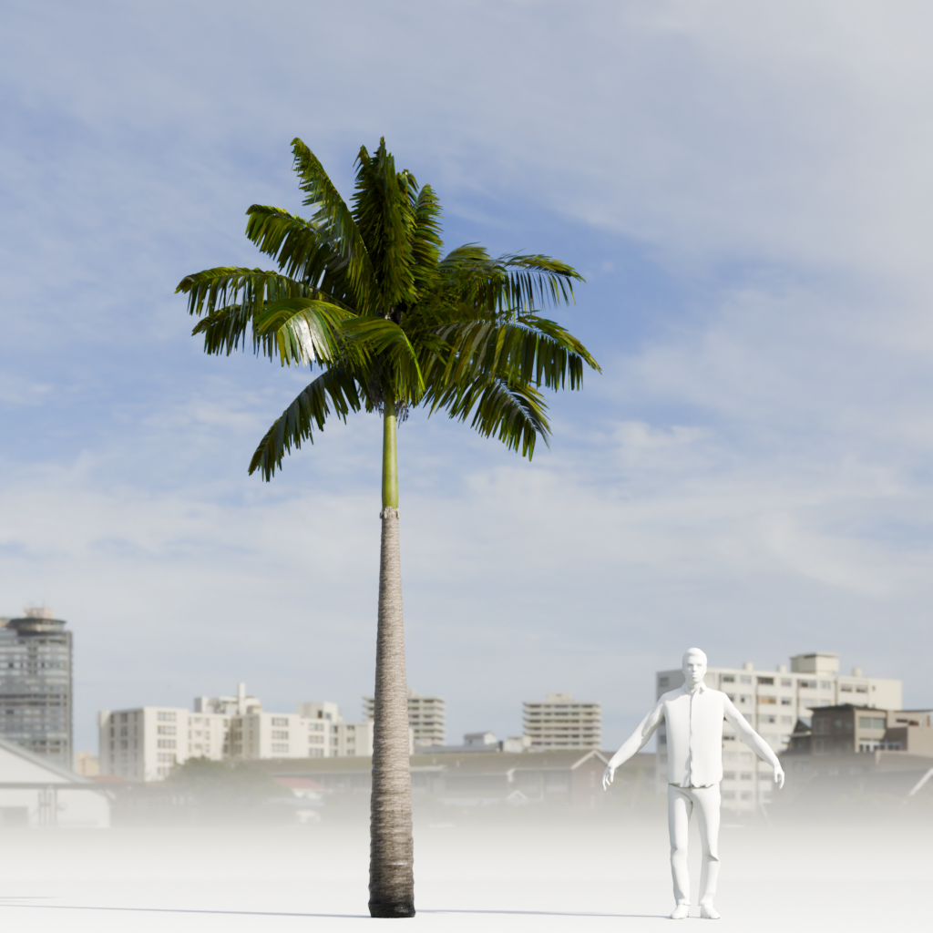 Imperial PalmTree | Trees models | BlenderKit