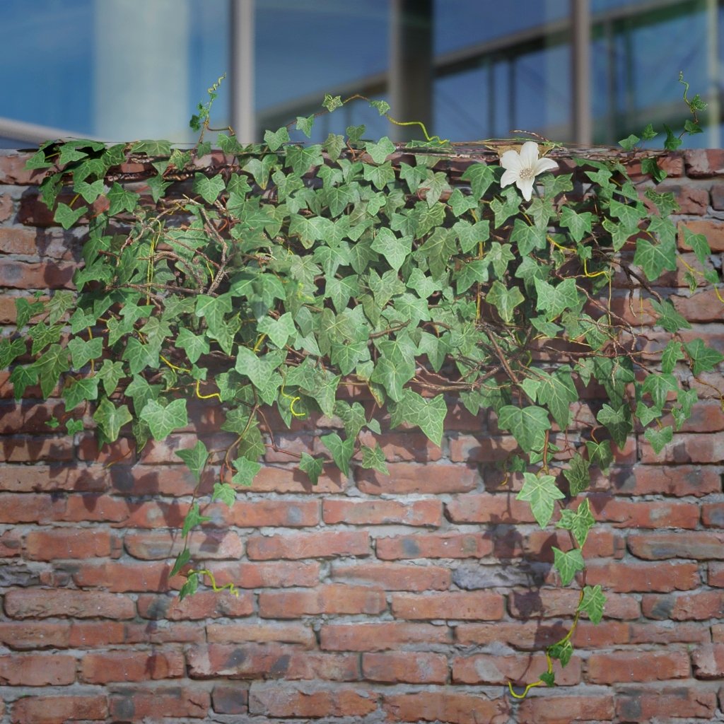 Ivy Creeper Ledge 1M 01 01 | Outdoor Plants models | BlenderKit