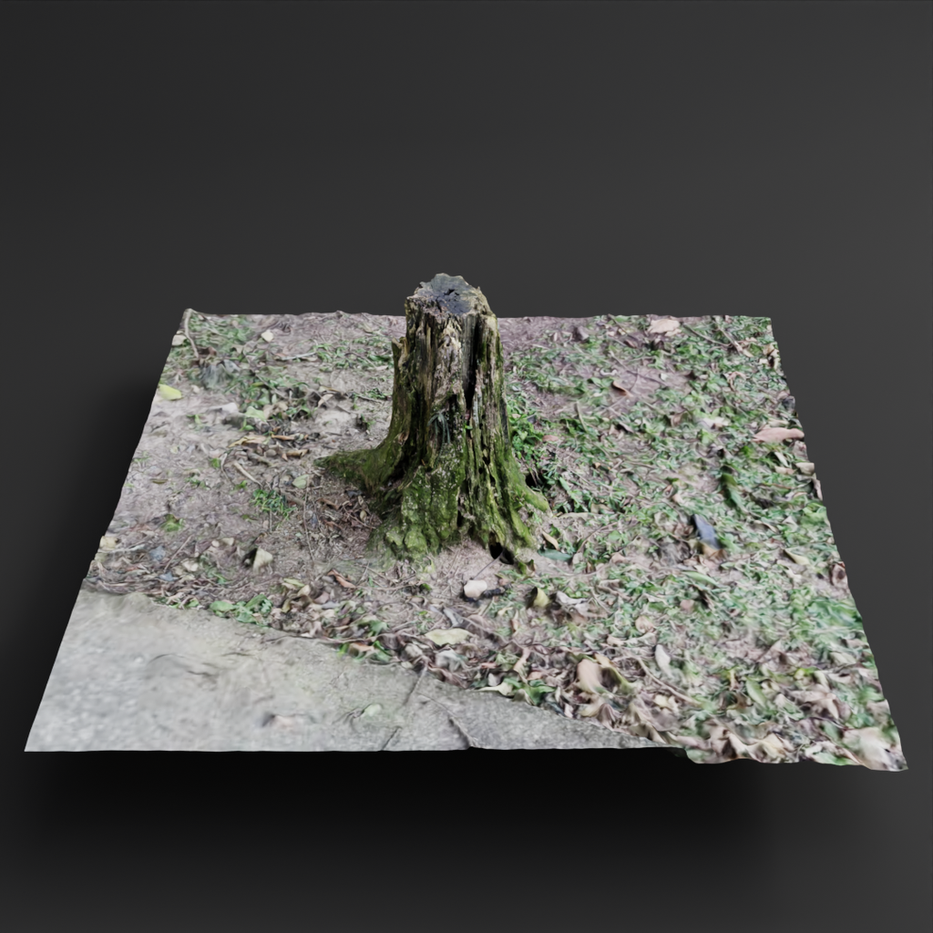 Cut tree trunk | FREE Trees models | BlenderKit
