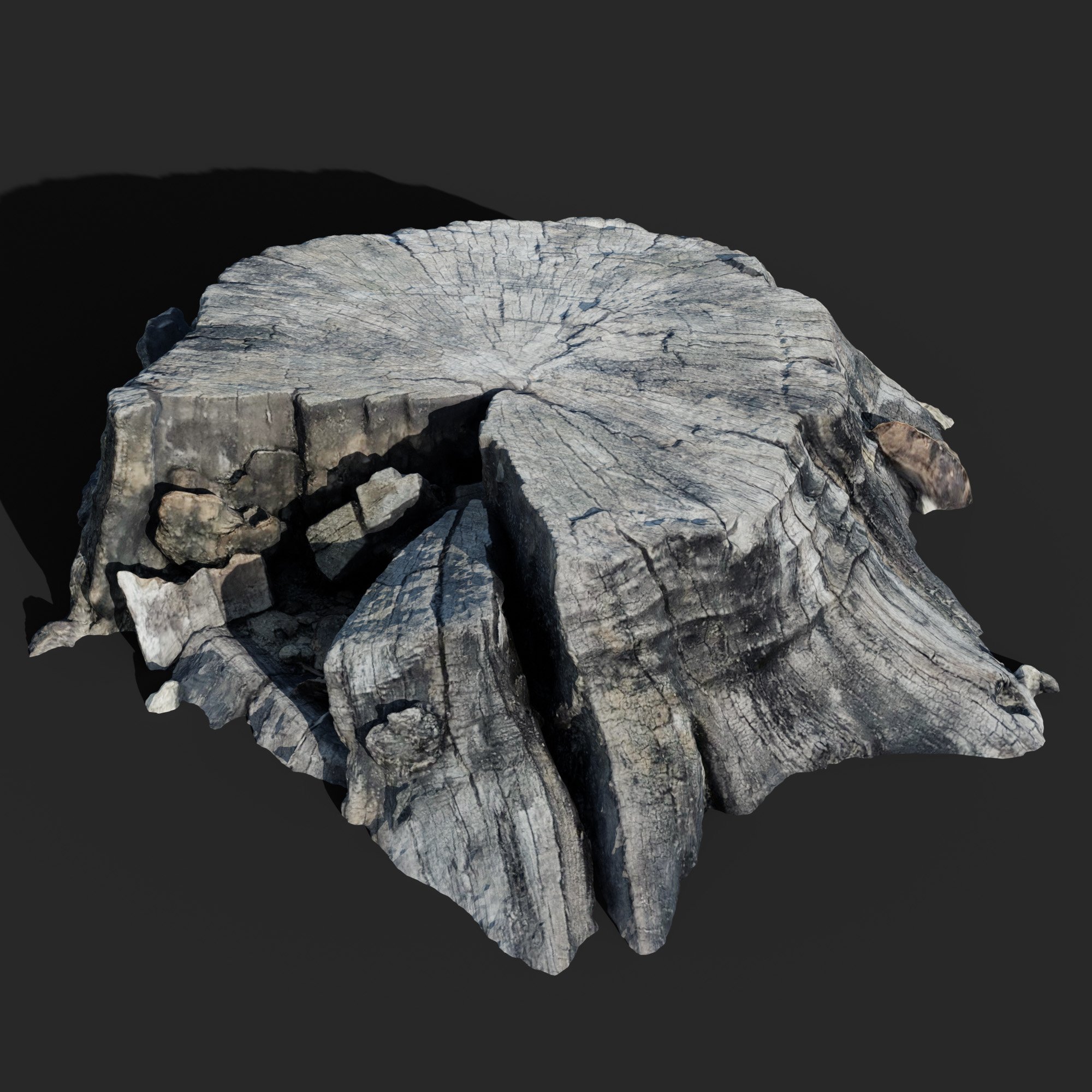 Old dry tree trunk | FREE Environment Elements models | BlenderKit
