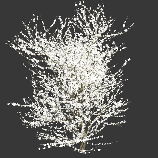 White Sakura | Trees models | Blendkit