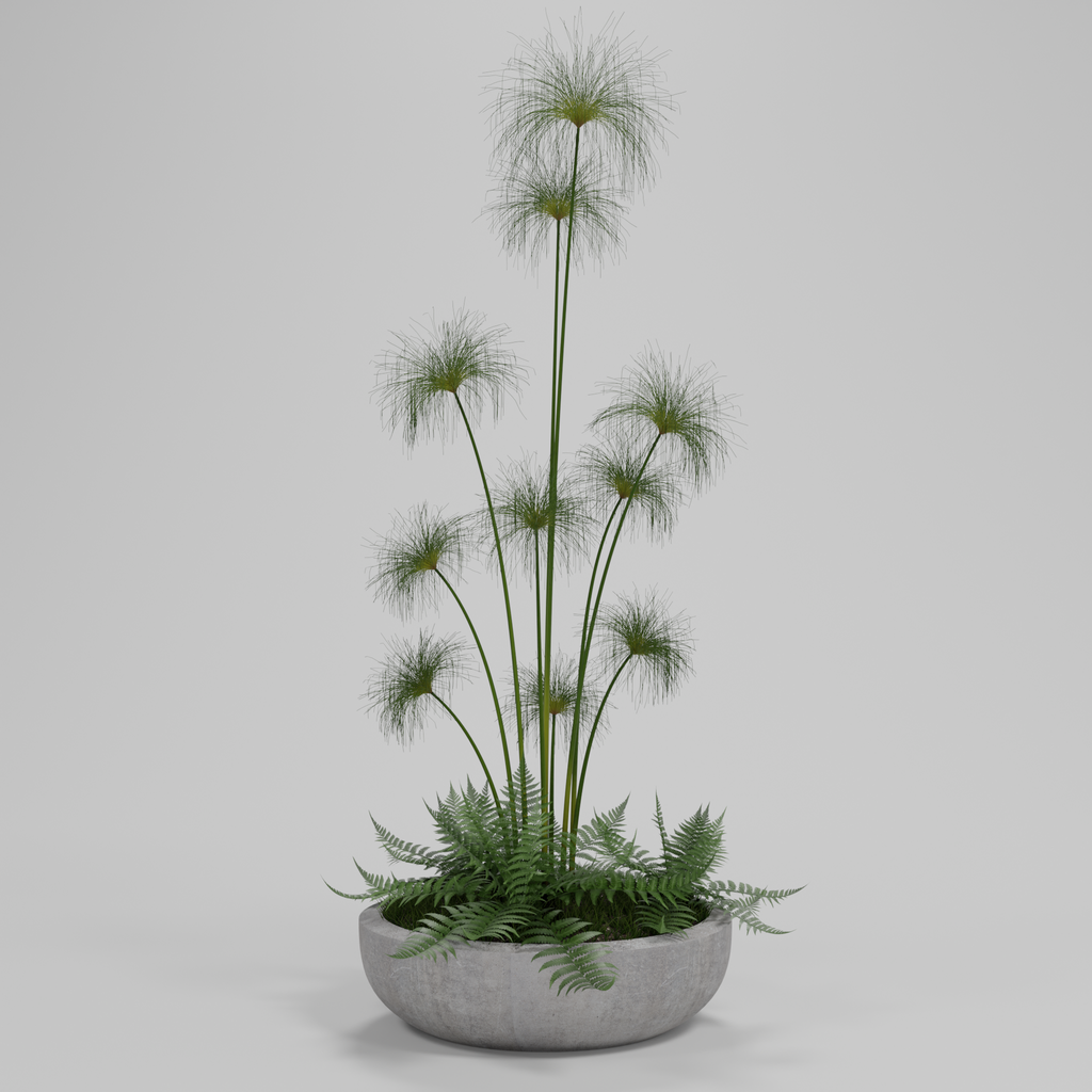 Papyrus Grass Planter | Outdoor Plants models | BlenderKit