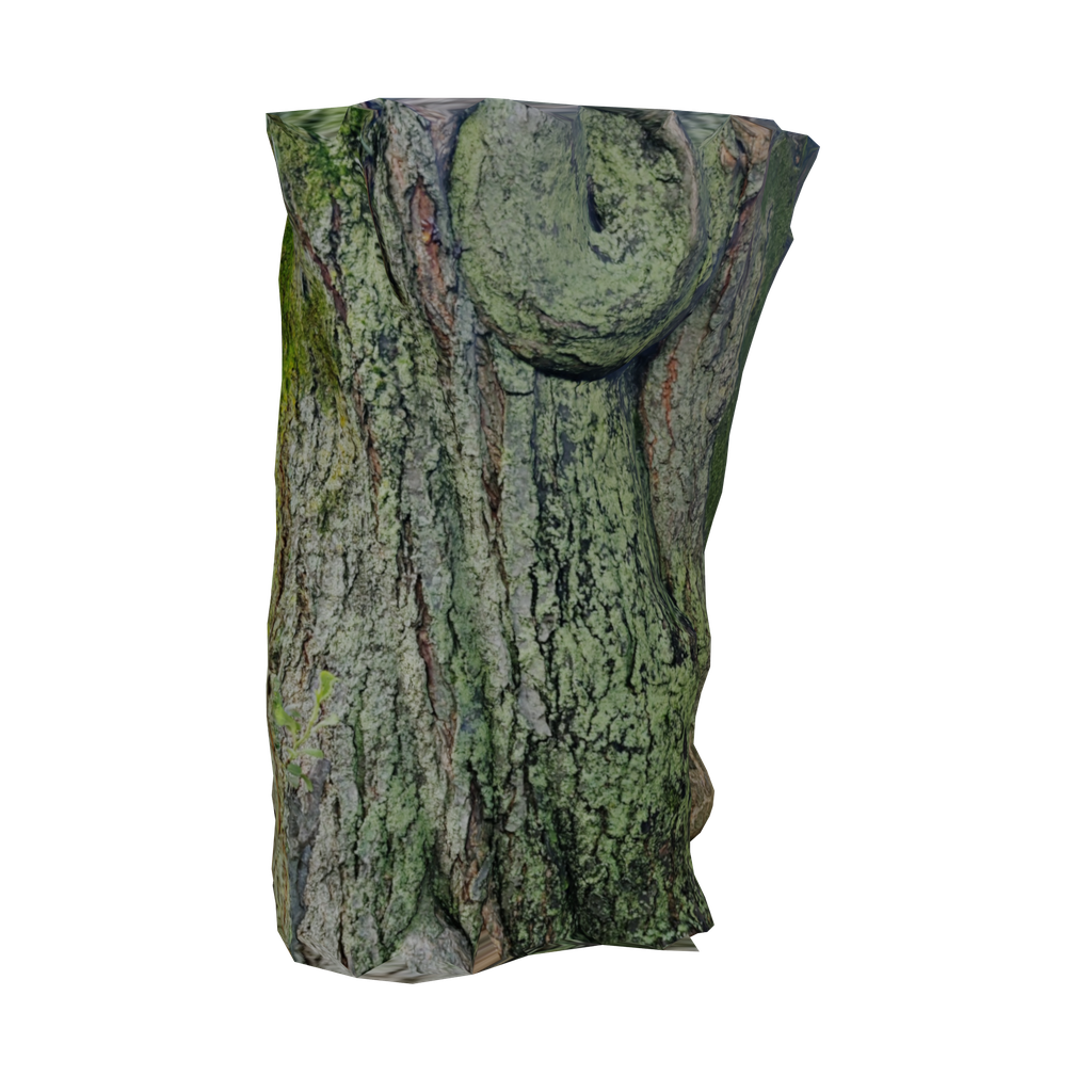Mossy tree | FREE Trees models | BlenderKit