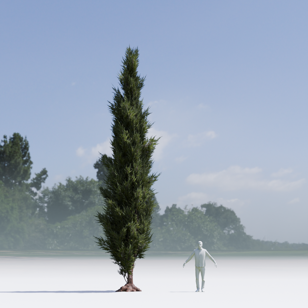 Pine Tree Low Poly variation | Trees models | BlenderKit
