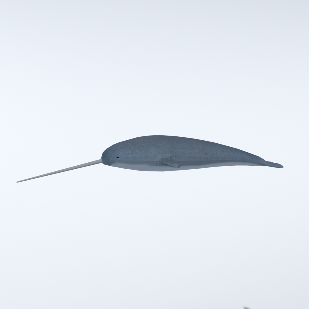 Low Poly Narwhal Animated | Mammals models | BlenderKit