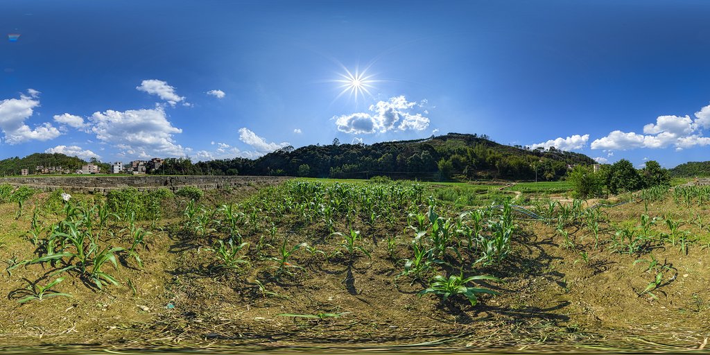 Cornfield during the day | Nature HDRis | BlenderKit