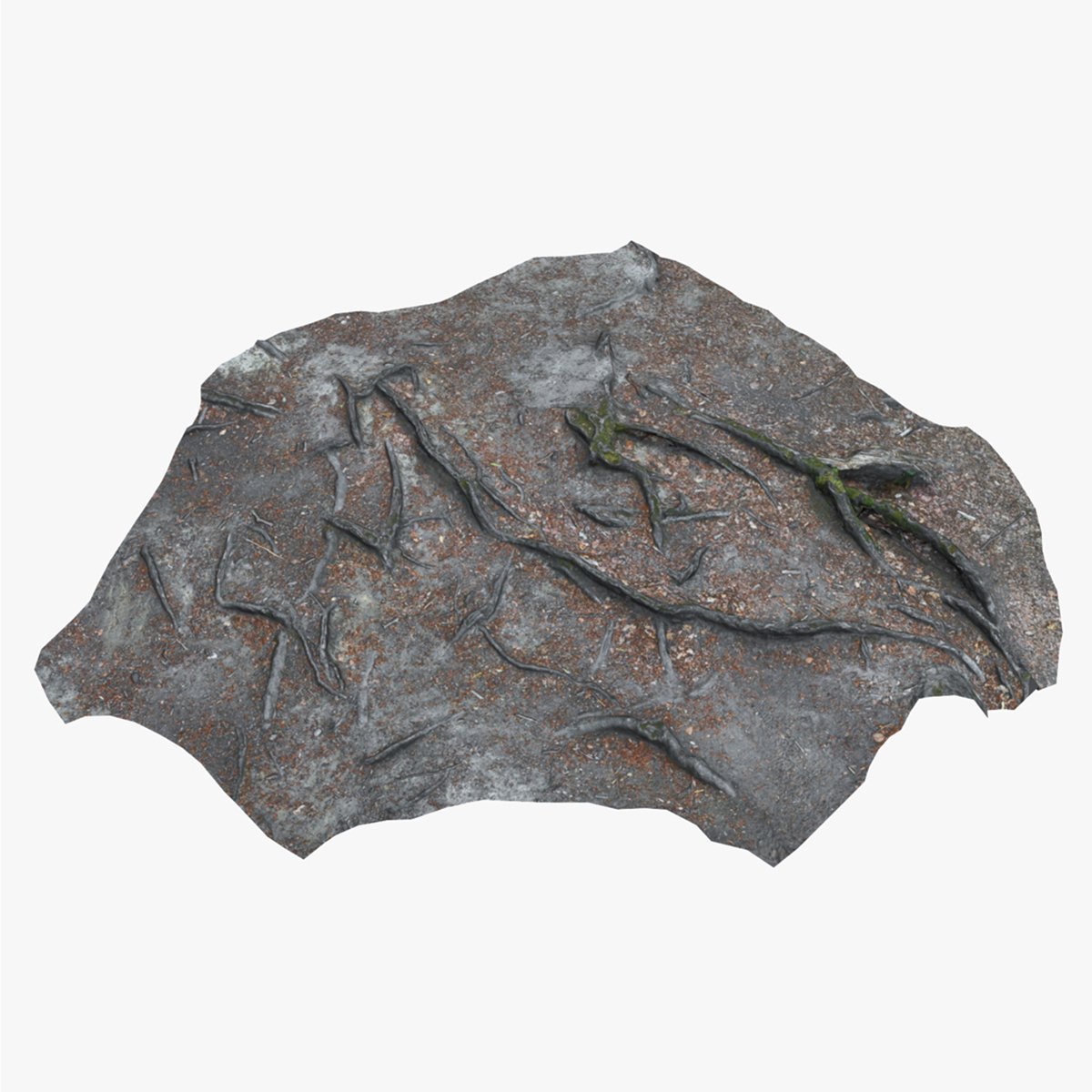 Beech forest ground roots | Environment Elements models | BlenderKit