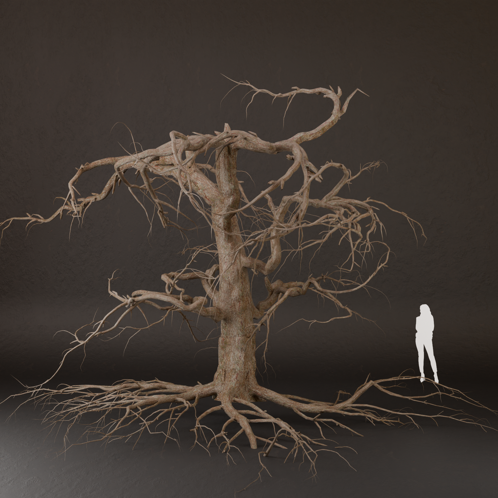 SJ Dried Forest Tree 3D | Trees models | BlenderKit
