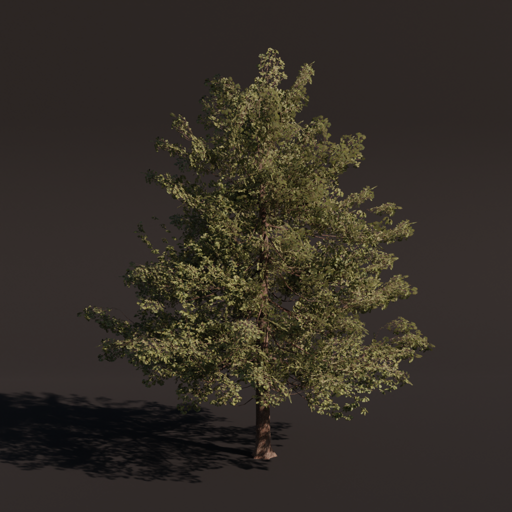 Tree Alder a2 Large | Trees models | BlenderKit