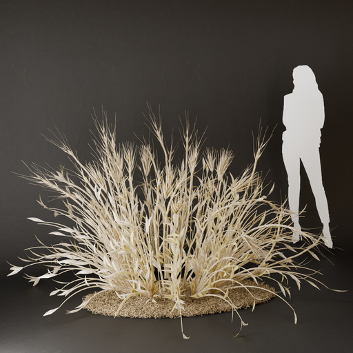 SJ-Unique Bush Accent | Outdoor Plants models | BlenderKit