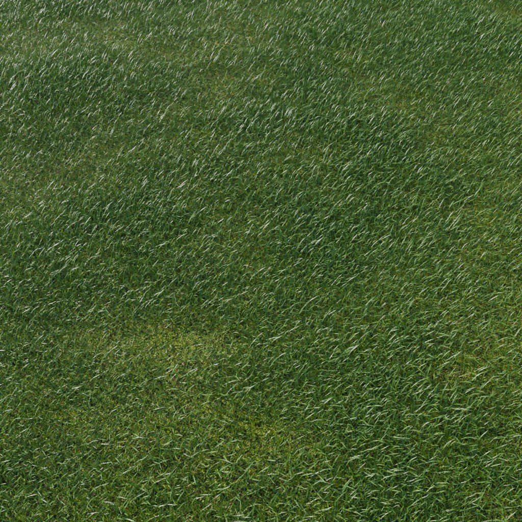 BlenderKit | Download the Garden Lawn Grass Fresh model