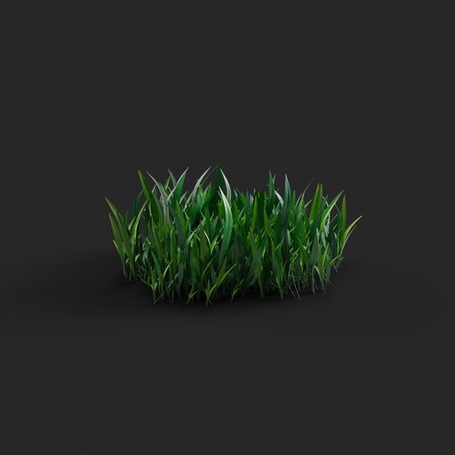 Grass Mix | FREE Grass models | BlenderKit