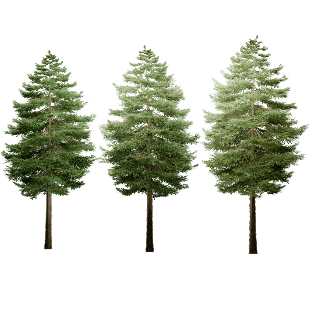 Fake Trees | FREE Trees models | BlenderKit