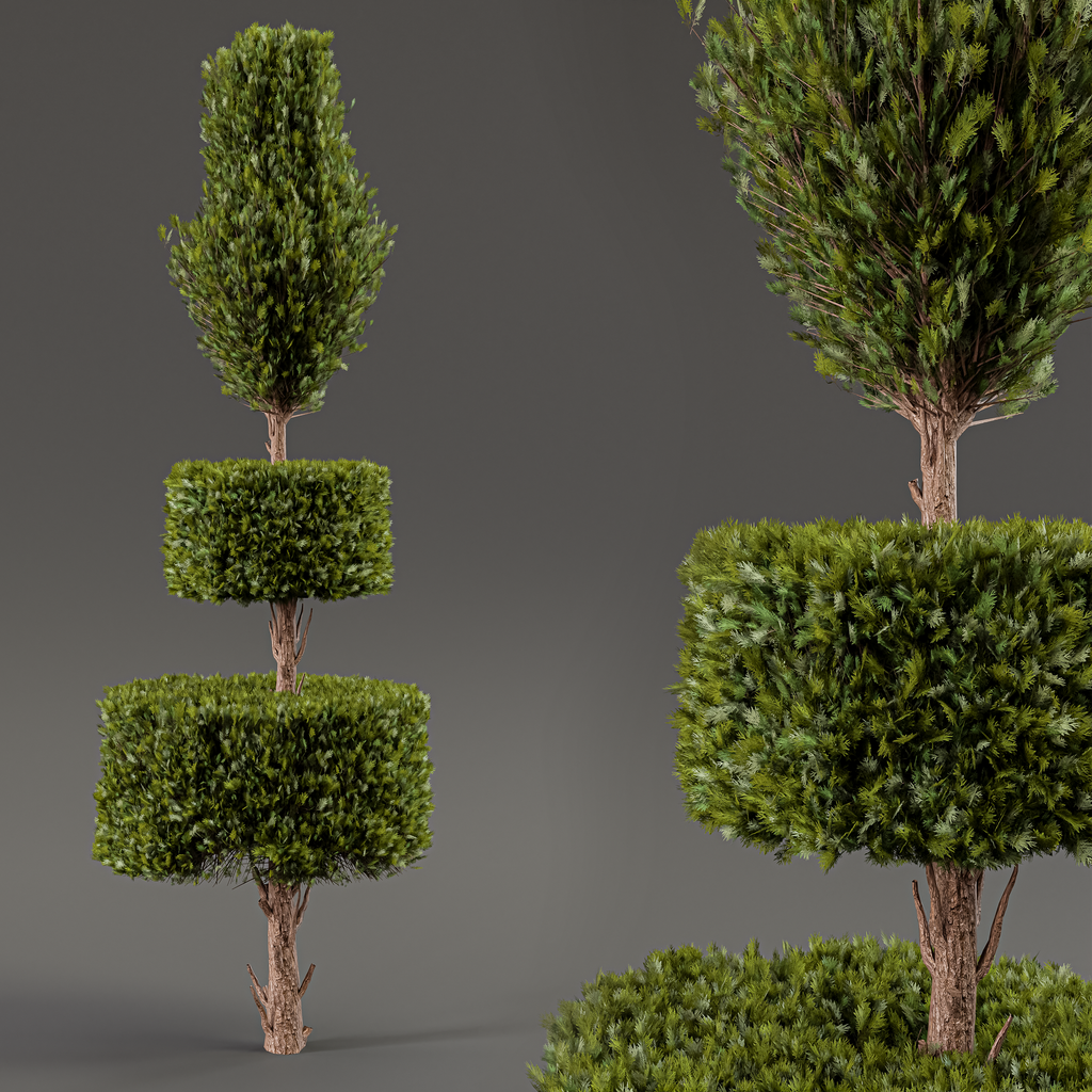 BlenderKit | Download the Tree model