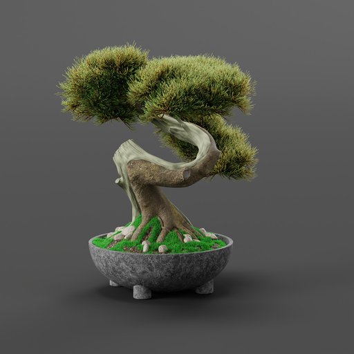 Bonsai tree | FREE Indoor Plants models | BlenderKit
