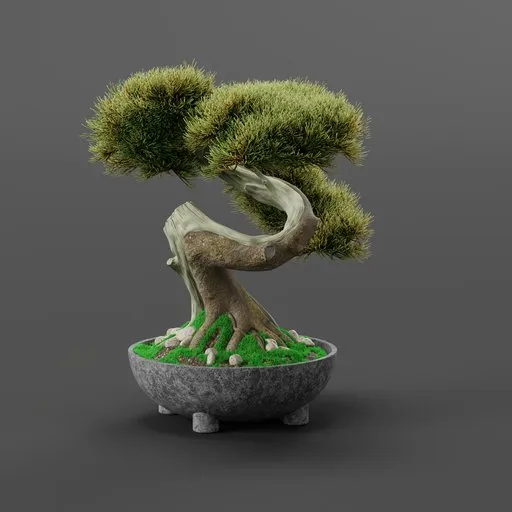 Bonsai tree | FREE Indoor Plants models | BlenderKit