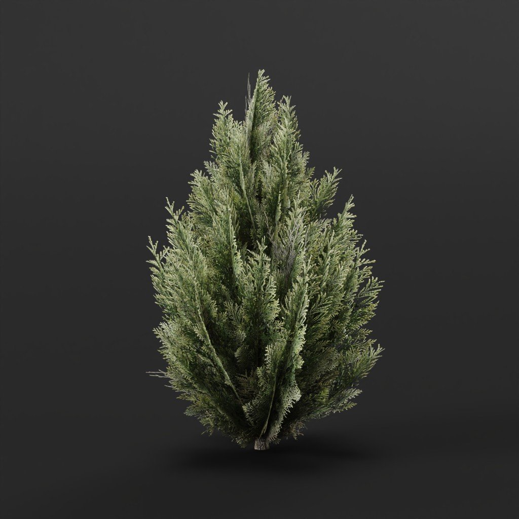 Red Cedar Bush Medium Variation | Outdoor Plants models | BlenderKit