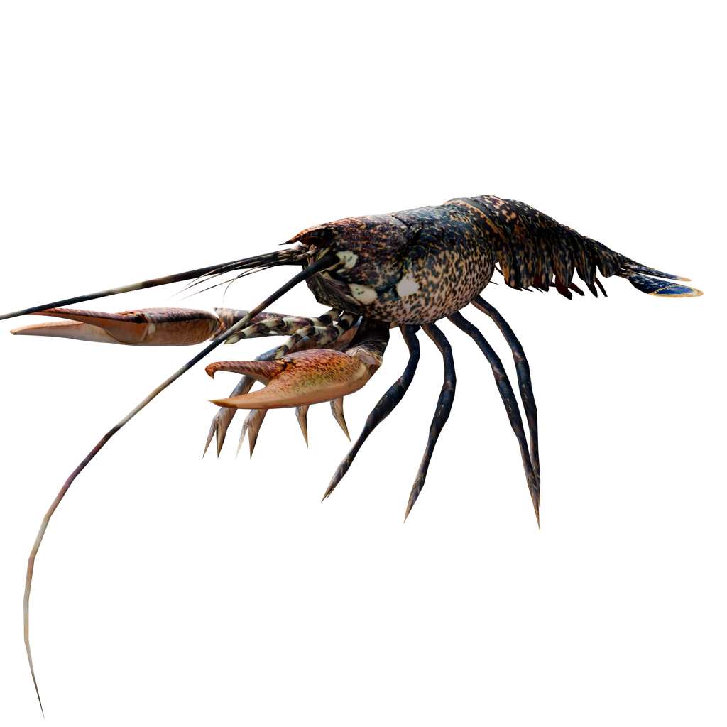 Blue Lobster | FREE Animals models | BlenderKit