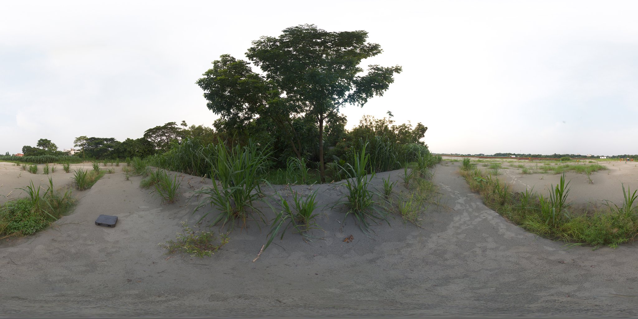 Sandy Grove Entrance HDRI | FREE Landscapes HDRis | BlenderKit