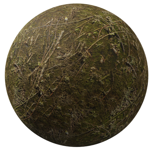 Moss | FREE ground materials | BlenderKit