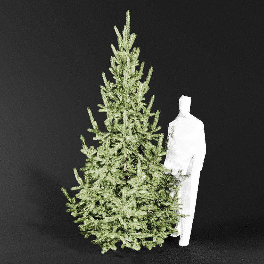 Norway Spruce Picea Abies 2.8m | Trees models | BlenderKit