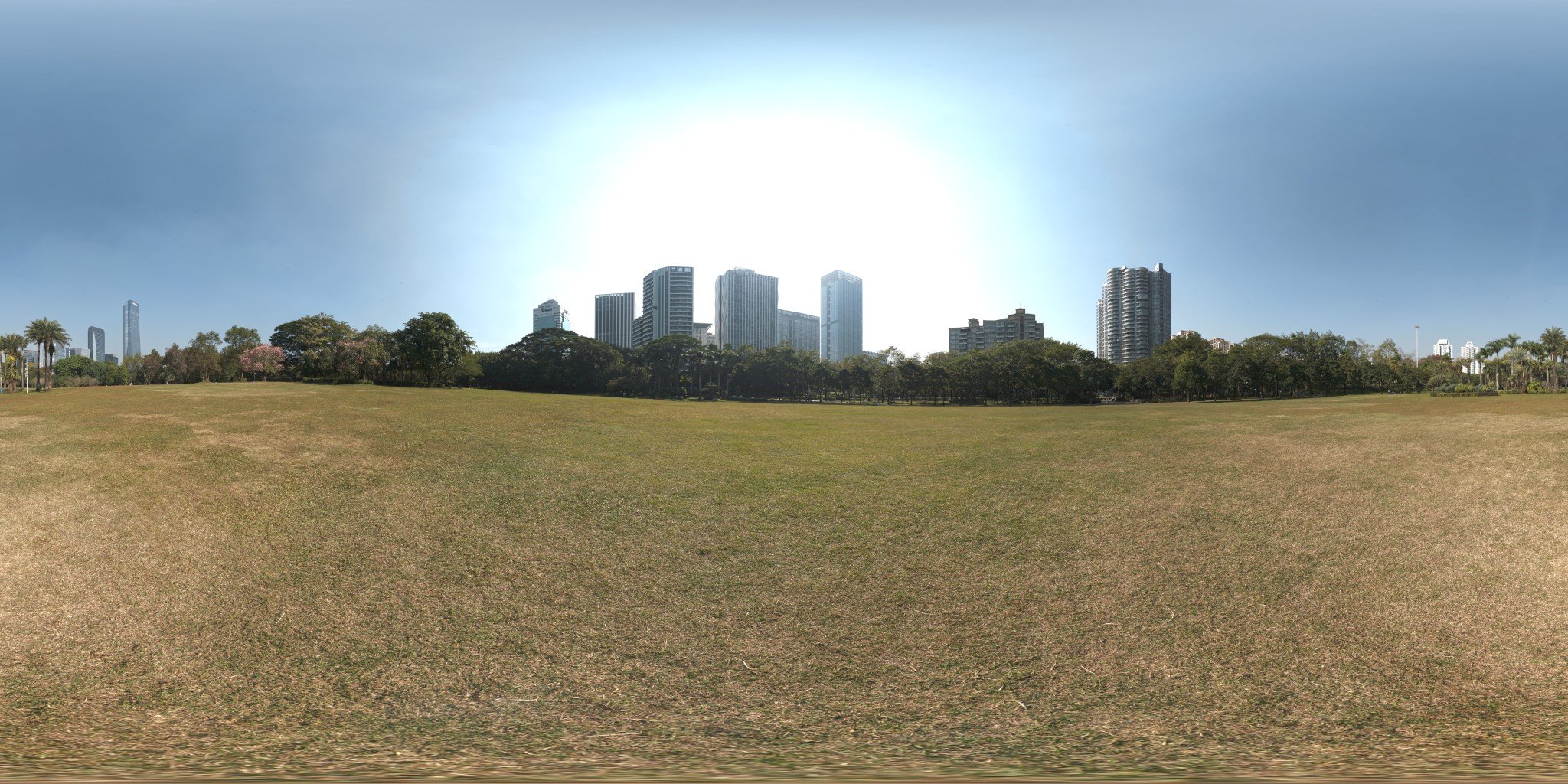 Grassland during the day | Nature HDRis | BlenderKit