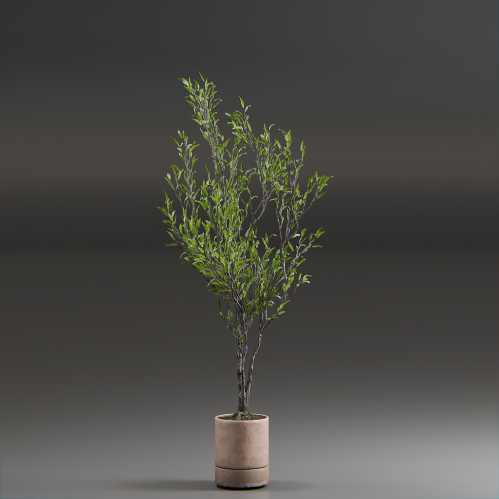 Indoor Plant Olive | Indoor Plants models | BlenderKit