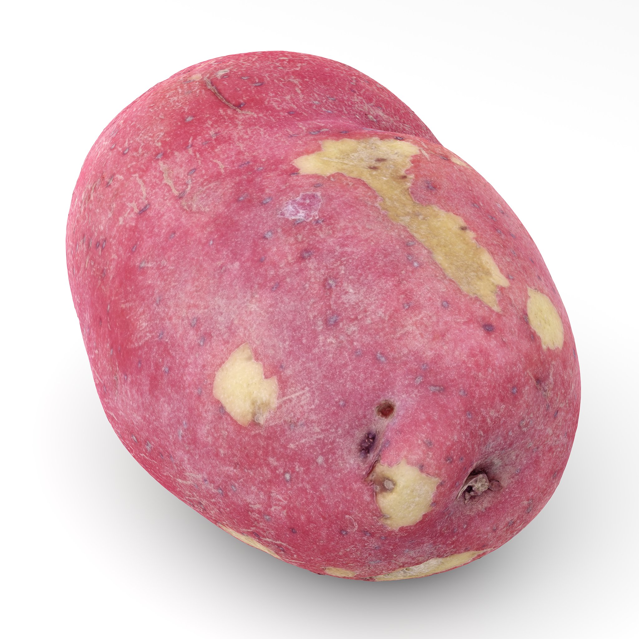 Red sweet potato vegetable scan | Fruit & Vegetables models | BlenderKit