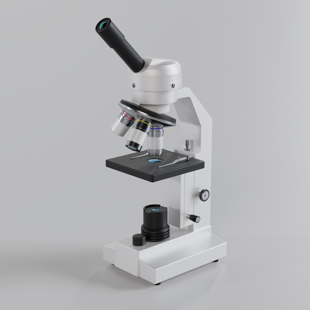 Stylized Human Brain | FREE Science models | BlenderKit