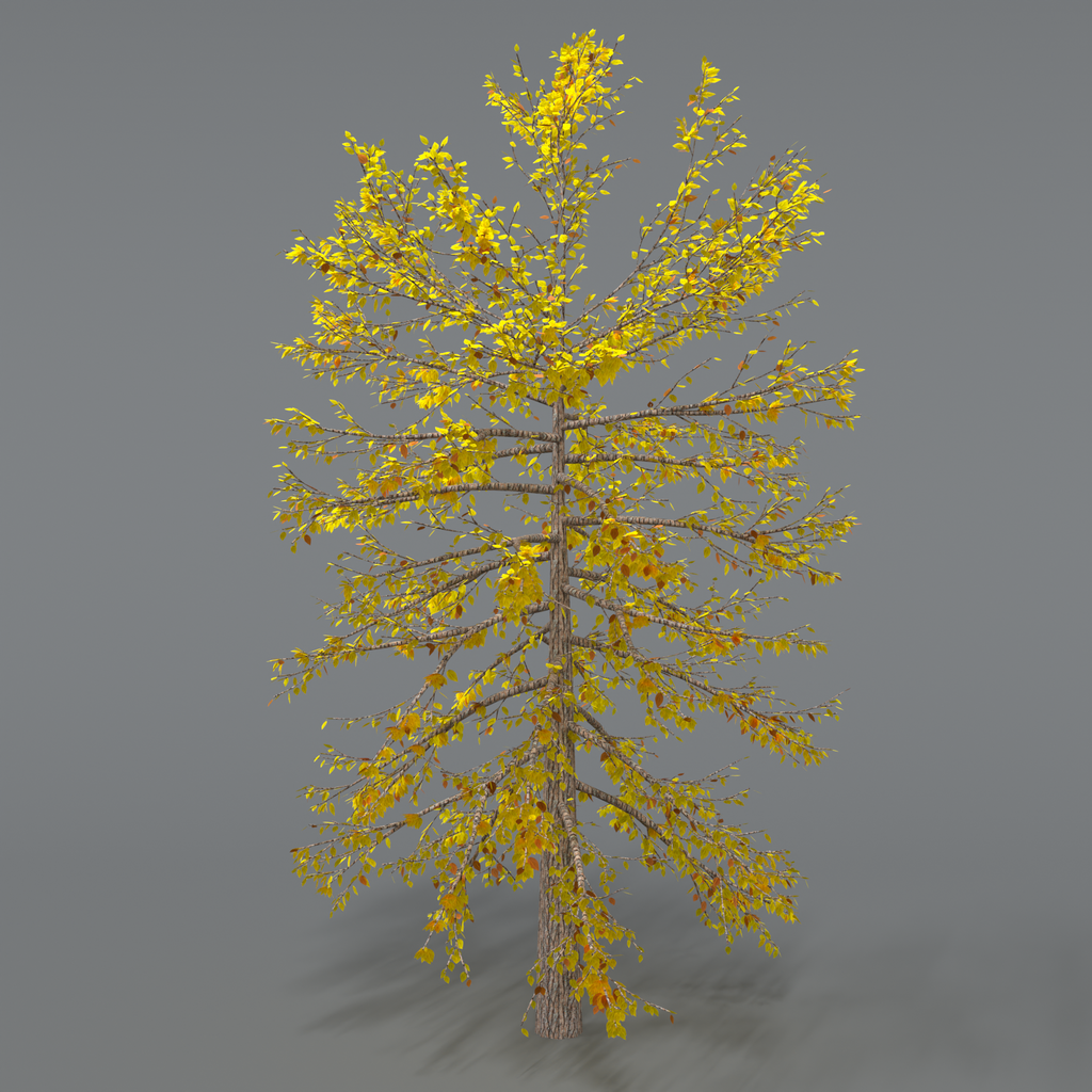 BlenderKit | Download the Forest Tree model