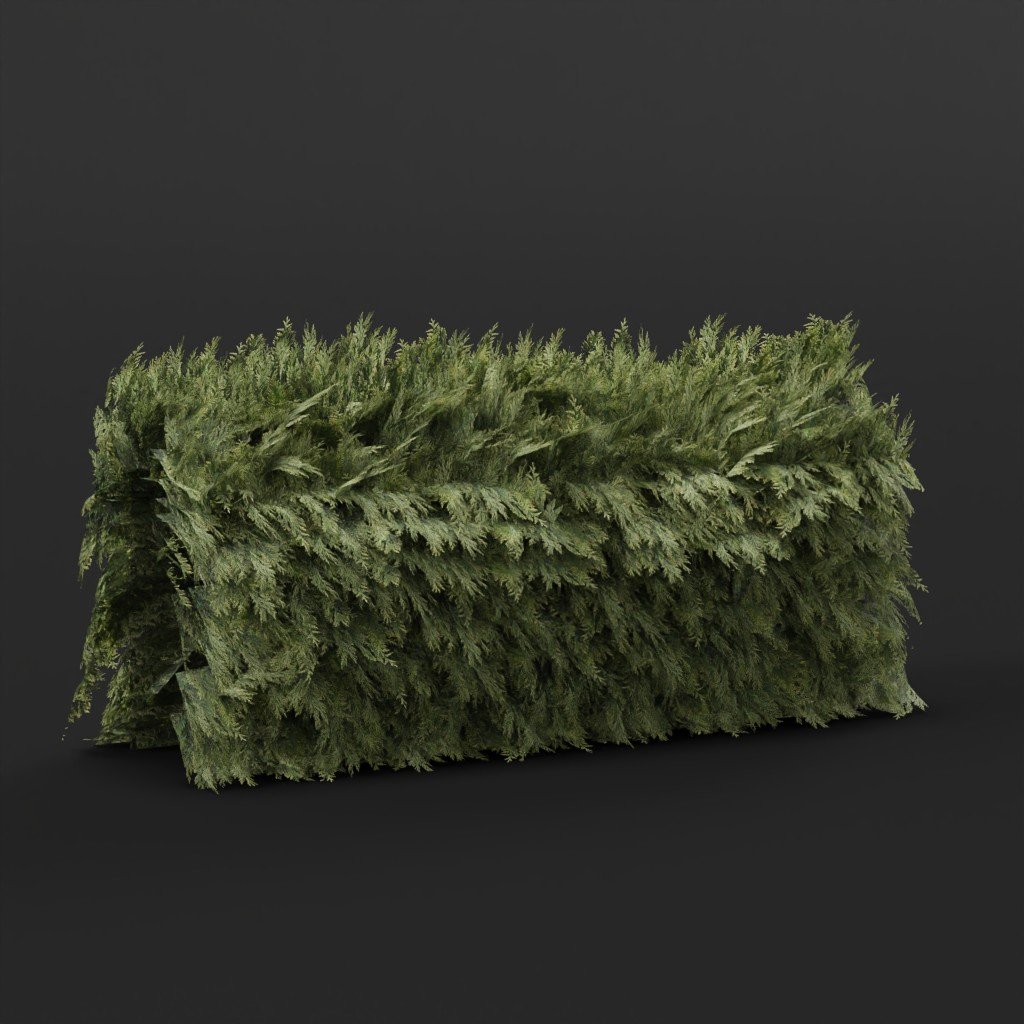Red Cedar Bush Straight 4M Variation | Outdoor Plants models | BlenderKit