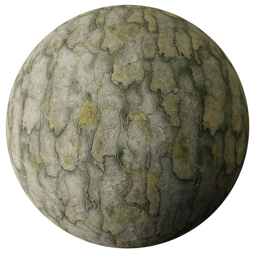 Tree bark woth some moss | FREE wood materials | BlenderKit