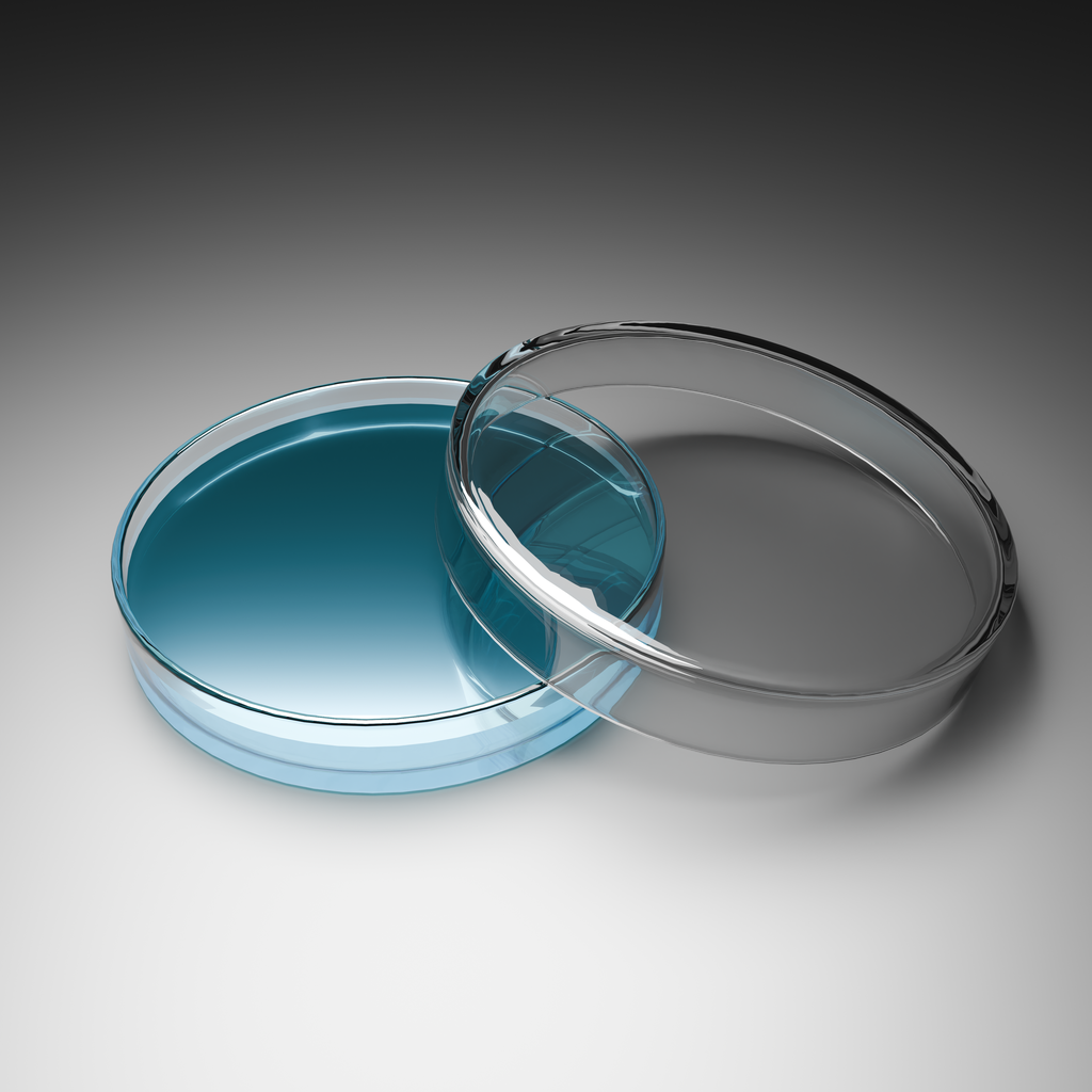 Petri dish | FREE Lab Equipment models | BlenderKit
