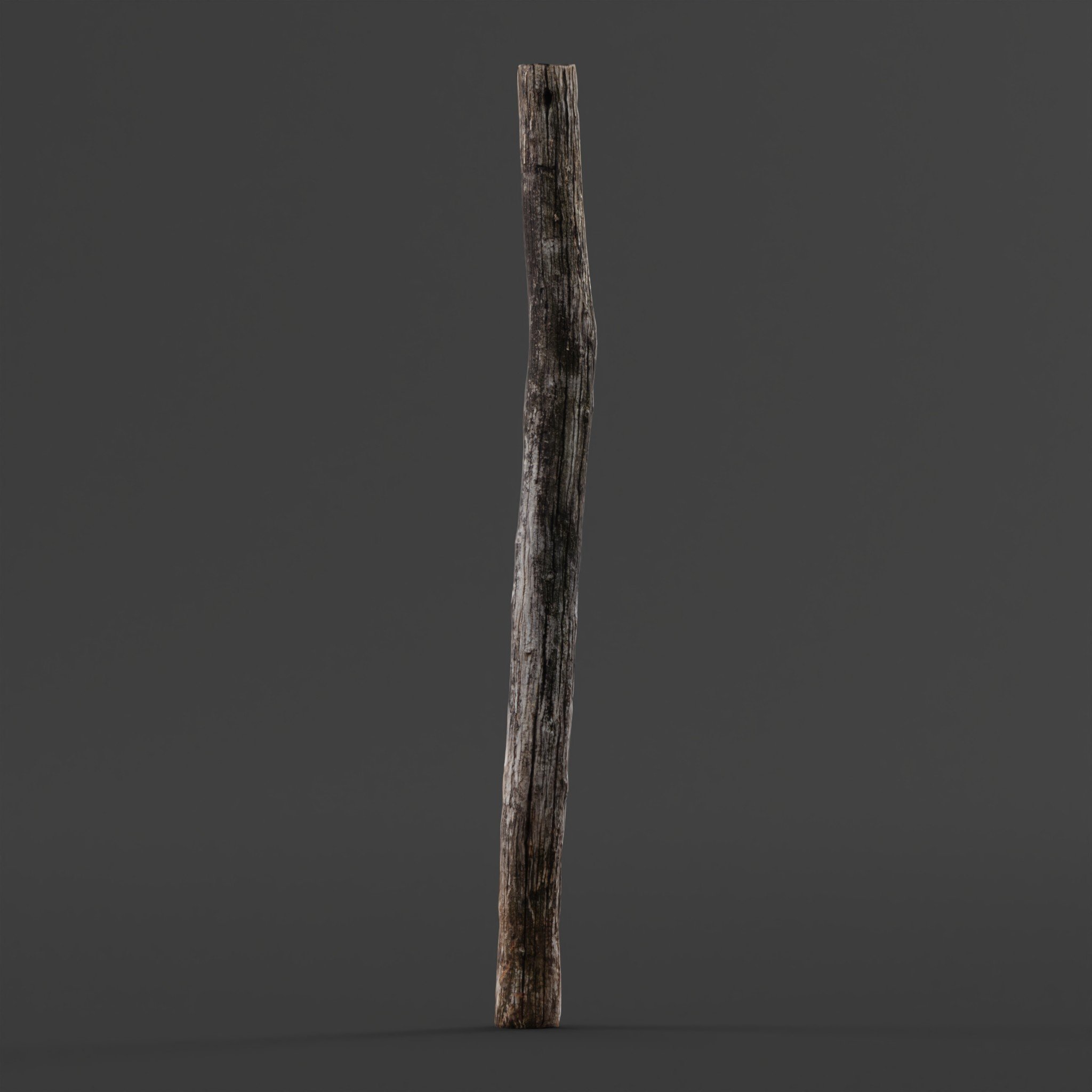 Wooden pole 01 | Environment Elements models | BlenderKit