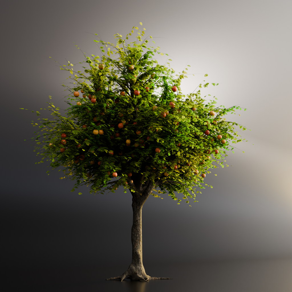 Apple Tree | FREE Trees models | BlenderKit