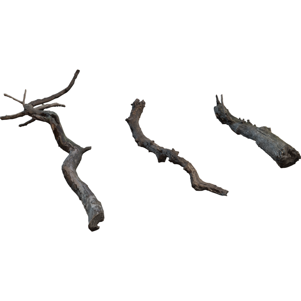 Dry Branches Medium 01 | FREE Outdoor Plants models | BlenderKit