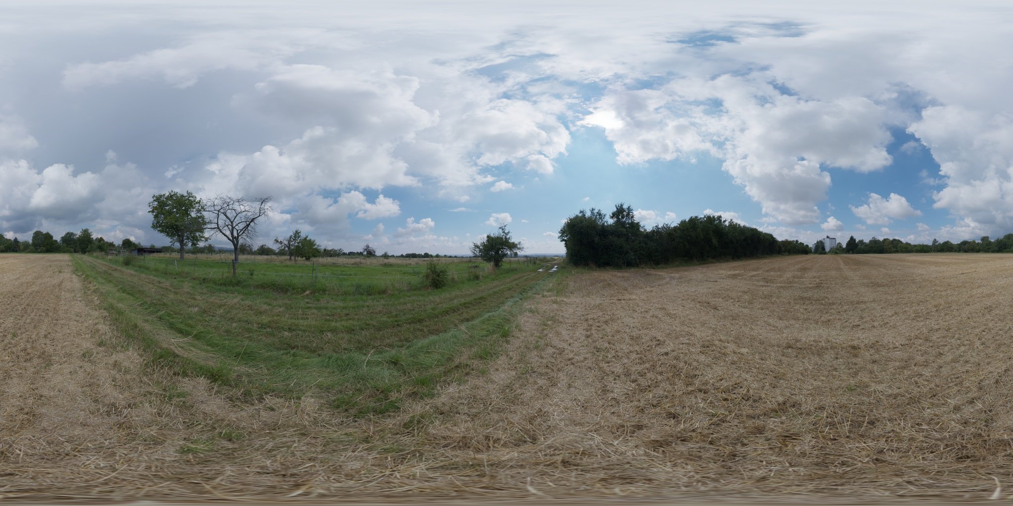 Dry Hay Field | FREE 3D Indoor HDRs | BlenderKit