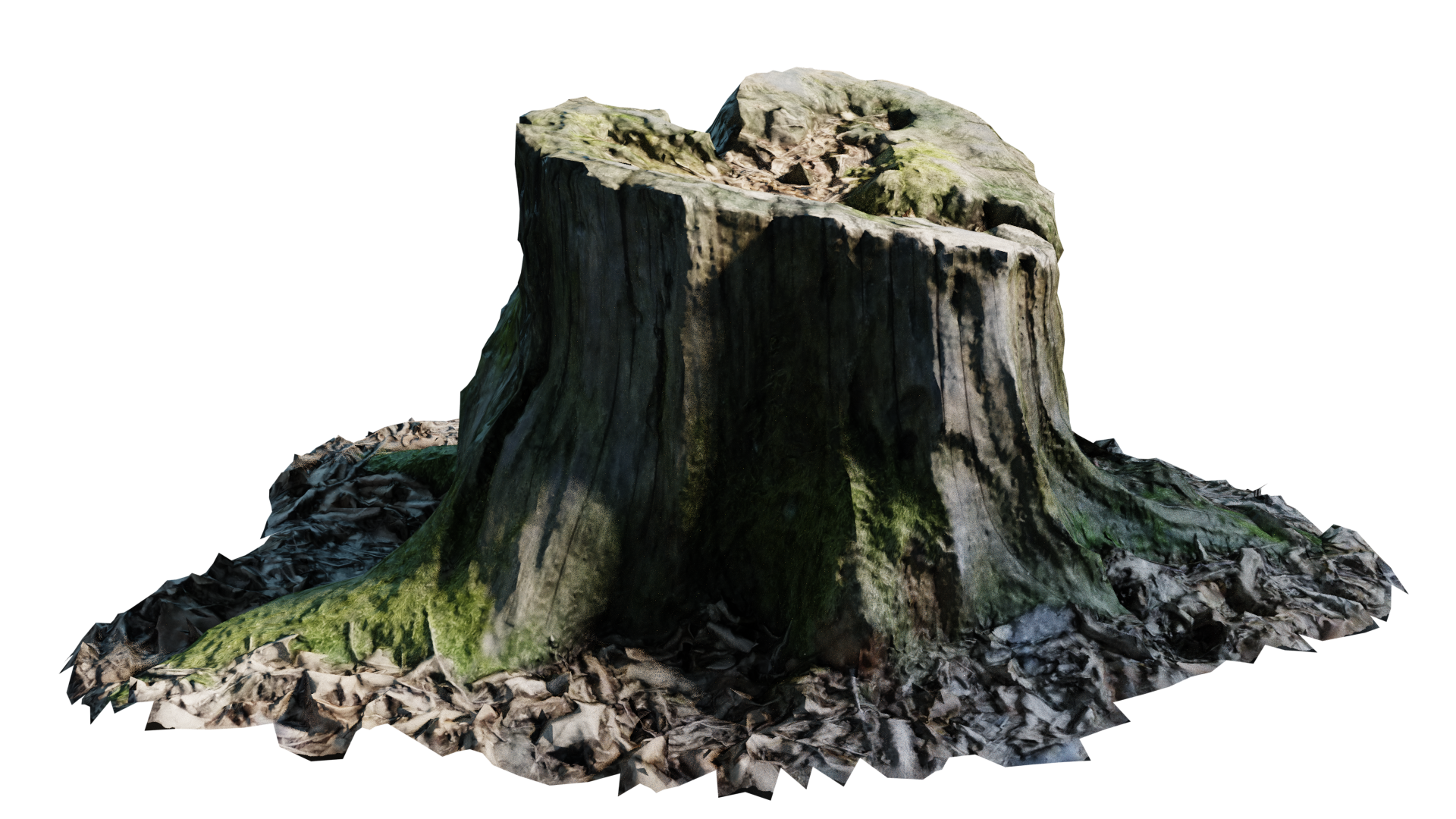 Tree Stump | Trees models | BlenderKit