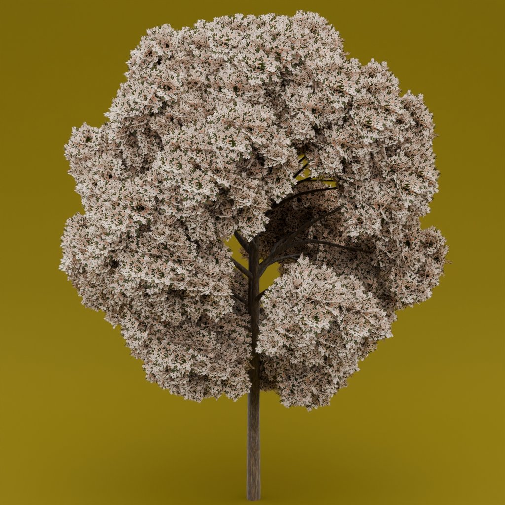 White flowered-light green leaved tree | Trees models | BlenderKit