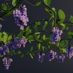 Grapevine with hanging grapes | Outdoor Plants models | BlenderKit