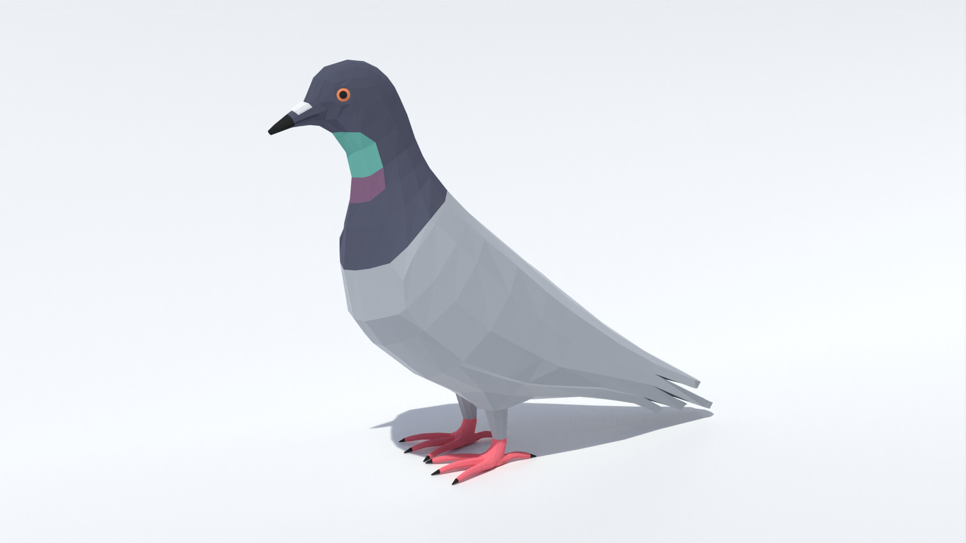 Low Poly Pigeon | Birds models | BlenderKit