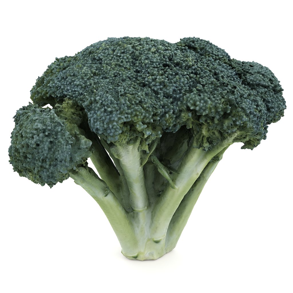 Broccoli green vegetable organic food | Fruit & Vegetables models ...