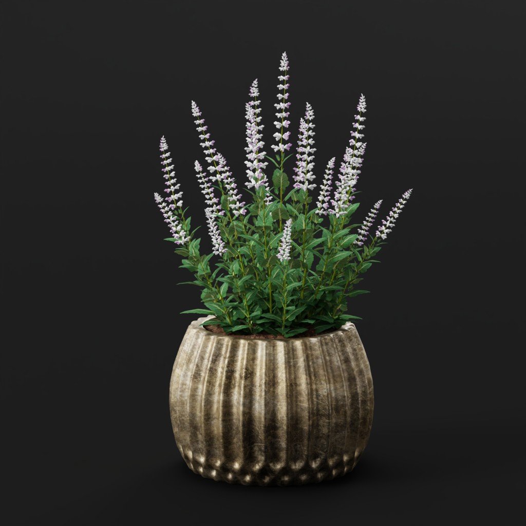 Potted Lavender Flower | Indoor Plants models | BlenderKit