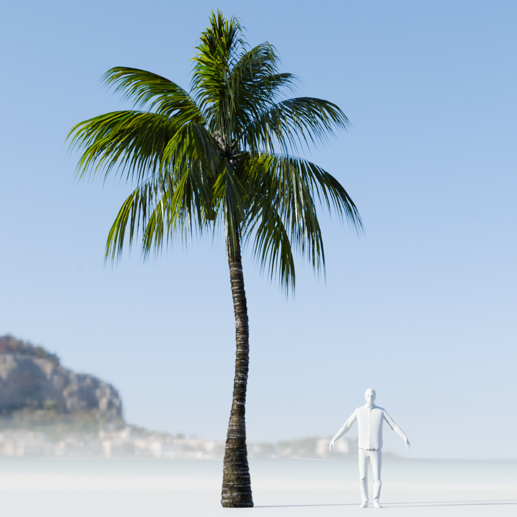 Coconut Tree | Trees models | BlenderKit
