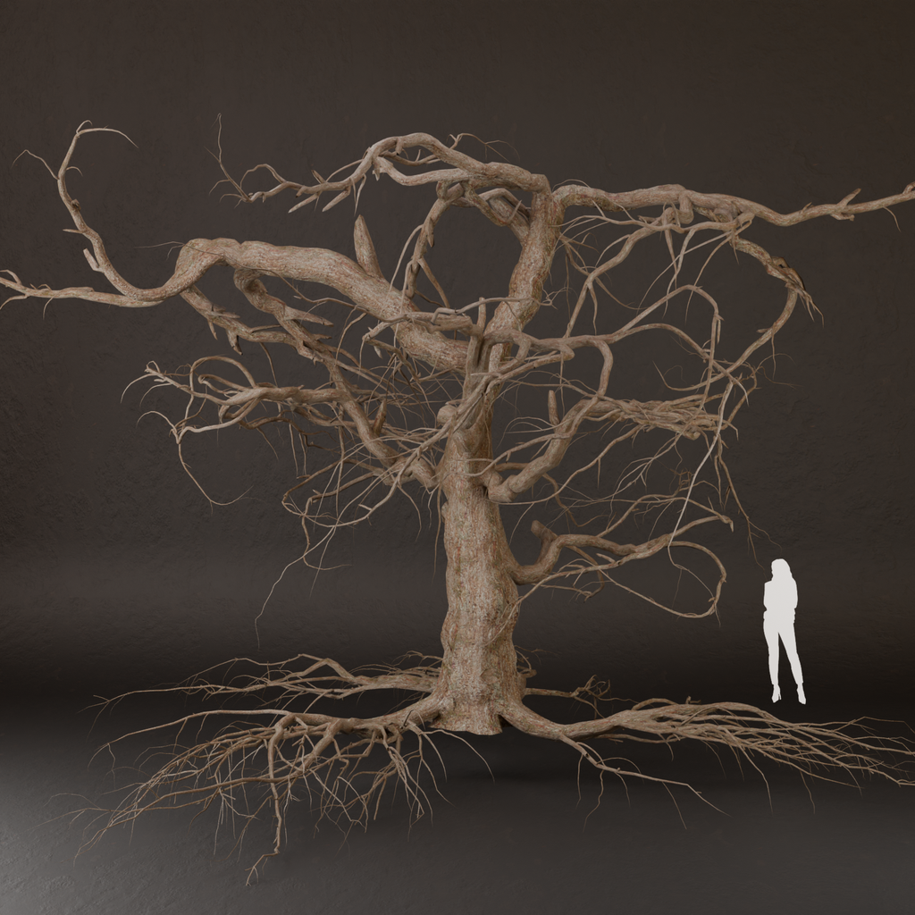 SJ Haunted Tree Base Mesh | Trees models | BlenderKit