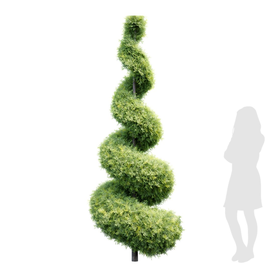 Spiral Italian Cypress trees2 | Outdoor Plants models | BlenderKit